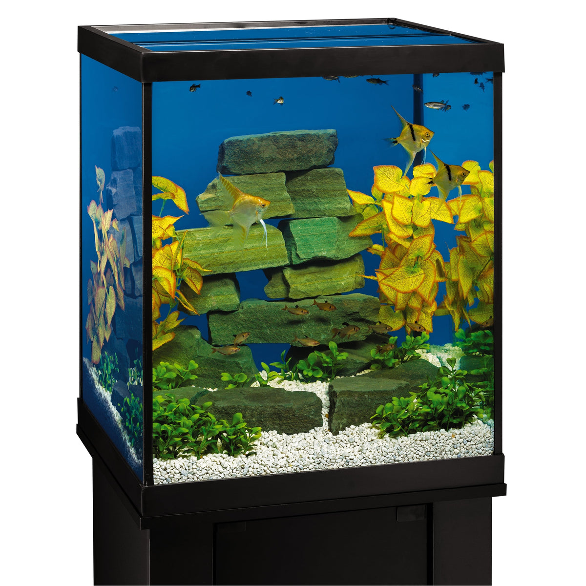 Marineland 56 Gallon Column Aquarium 30x18x24 - Grandville, MI - Blue ...
