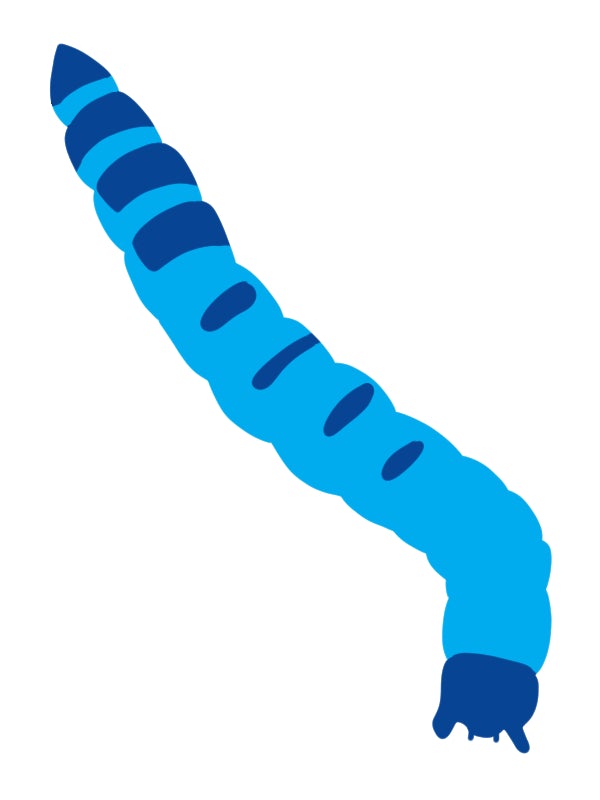 Feeder Superworm - 50 Count Cup - Grandville, MI - Blue Fish Aquarium