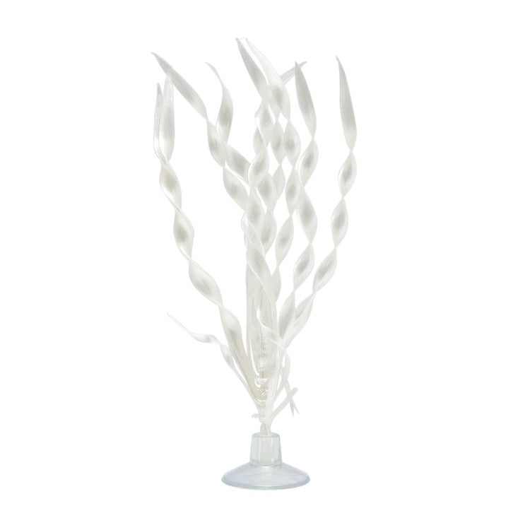 Marina Betta Plant - Pearl White Corkscrew Val - in Grandville, MI ...