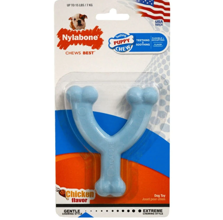 Nylabone Teething Puppy Wish Dental Chew Chicken Flavor Bone Toy - Blue ...