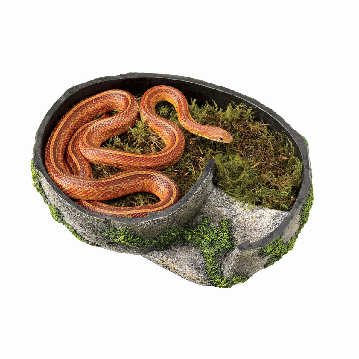 Zilla Rock Lair Reptile Hide - Large - Grandville, MI - Blue Fish Aquarium