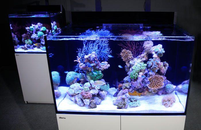 Red Sea MAX E-260 Complete Reef System with ReefLED 90 Lighting & Sump ...