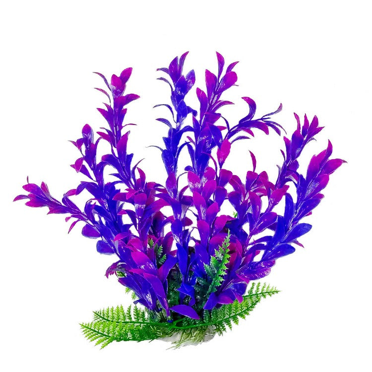 Aquatop Aquarium Plant Hygro Pink & Purple - Grandville, MI - Blue Fish ...