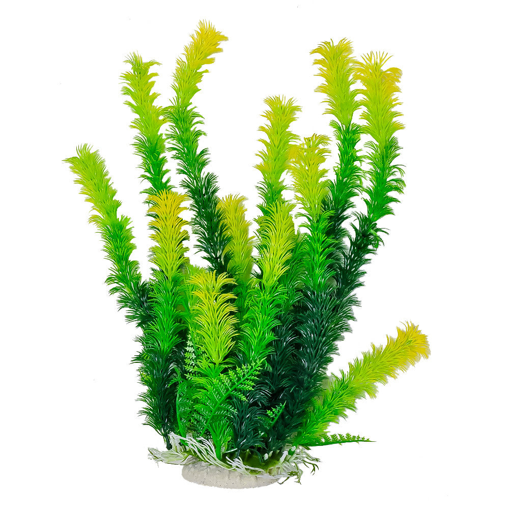 Aquatop Aquarium Plant Anacharis with Light Tips - in Grandville, MI ...